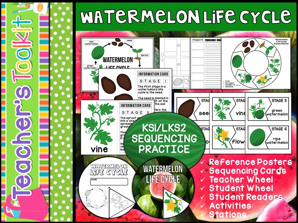 Elementary Science Resources: Worksheets, Ideas and Activities | Tes