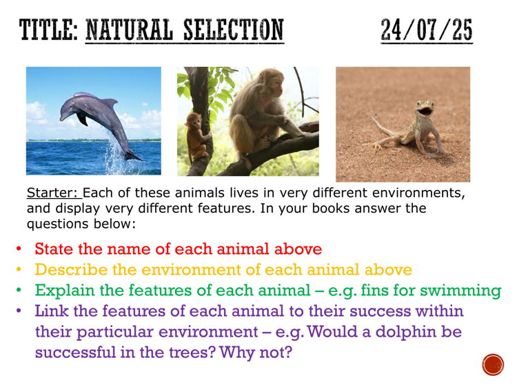 Evolution/Natural selection - complete lesson (KS3) | Teaching Resources