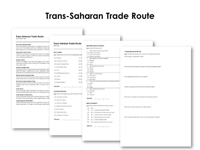 Trans-Saharan Trade Route | Teaching Resources