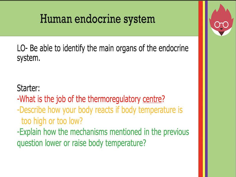 AQA GCSE Biology- Human endocrine system | Teaching Resources