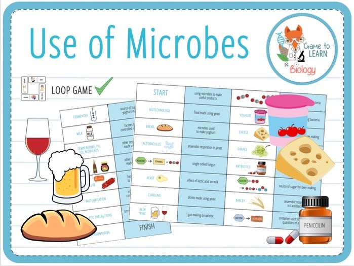 Use of microbes - Loop Game (KS3/4) | Teaching Resources