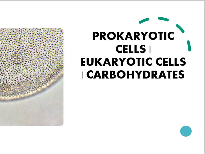 Prokaryotic And Eukaryotic Cells Old Prokaryotic Cells