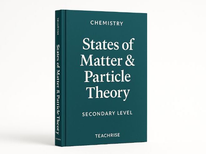 TeachRise's Shop - Teaching Resources - TES