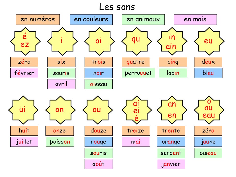 LES SONS PHONÉTIQUES - 12 FRENCH PHONETIC SOUNDS- | Teaching Resources