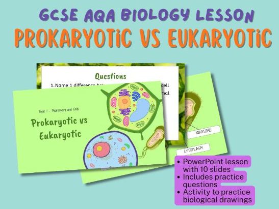 AQA GCSE Biology: Prokaryotic vs eukaryotic cells | Teaching Resources