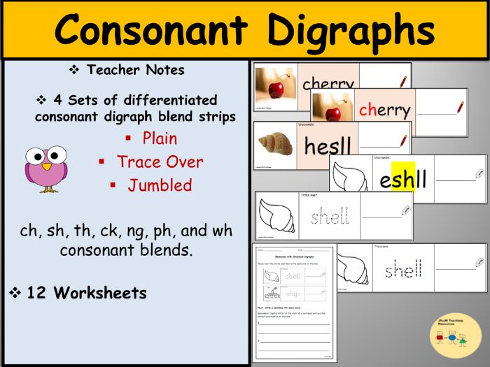 Consonant Digraphs Worksheets And Activities Teacher Notes Phase 3