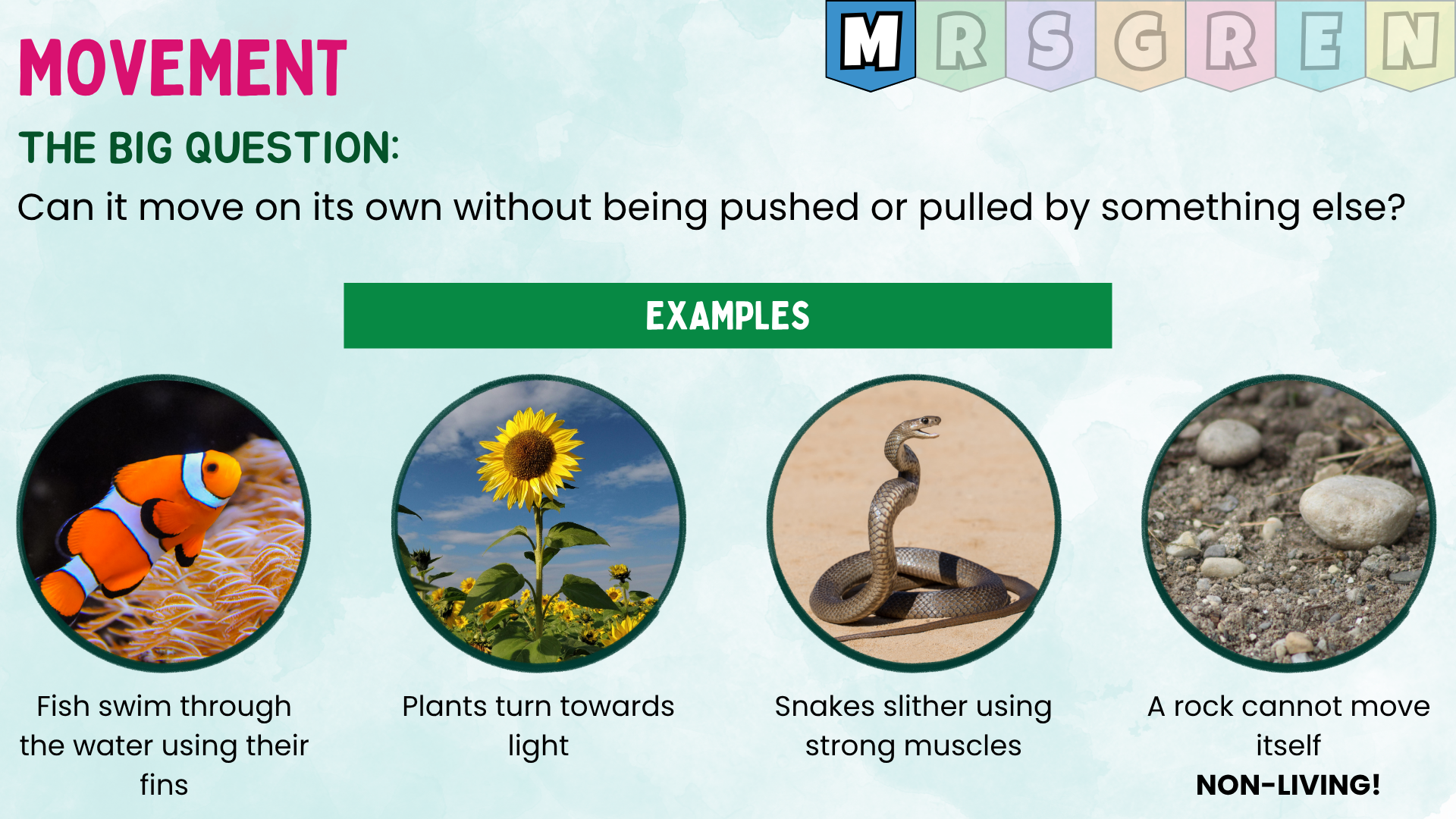 MRS GREN– Concept Slides and Activity: Characteristics of Living Things ...