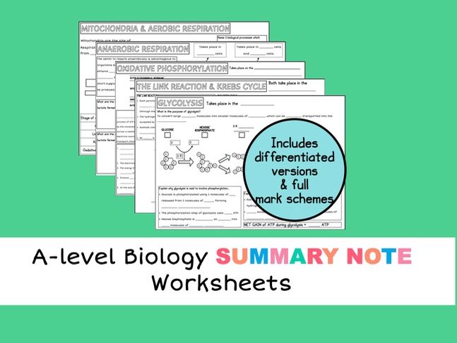 Photosynthesis & Respiration A-level Biology Worksheet Bundle ...