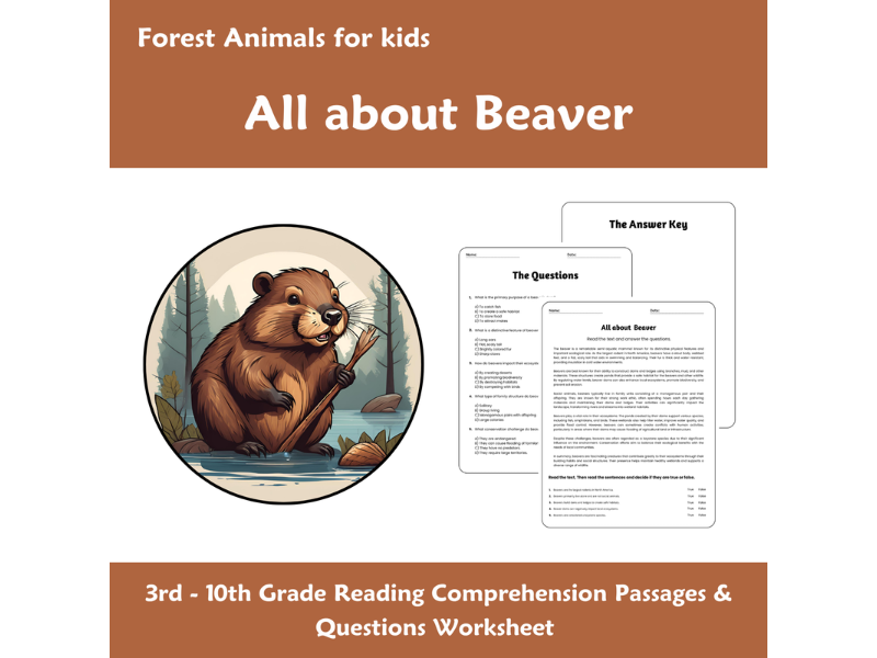 All About Beavers - Reading Comprehension Passages & Questions ...