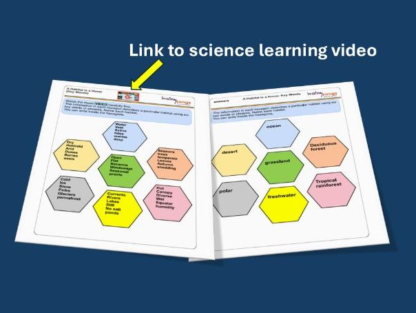 LIVING THINGS & HABITATS YEAR 2 SONG LESSON | Teaching Resources