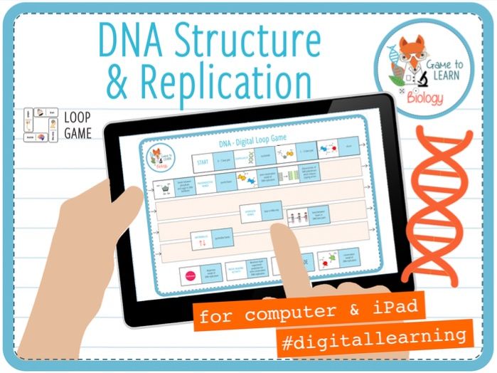DNA Structure & Replication - Digital Loop Game (KS5) | Teaching Resources