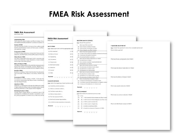 FMEA Risk Assessment | Teaching Resources