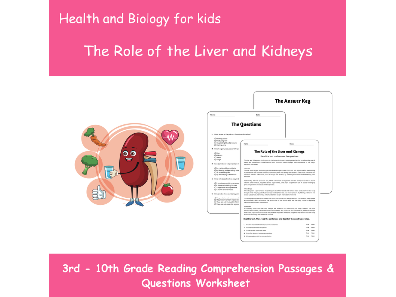 The Role of the Liver and Kidneys Reading Comprehension Passages ...
