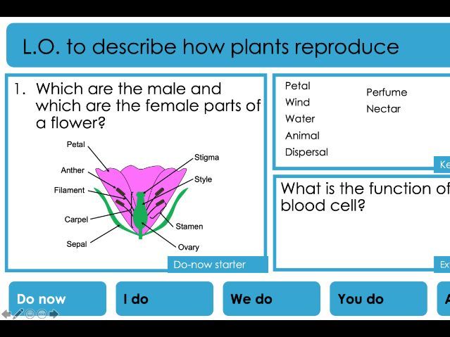 Flower Reproduction and Seed Dispersal | Teaching Resources
