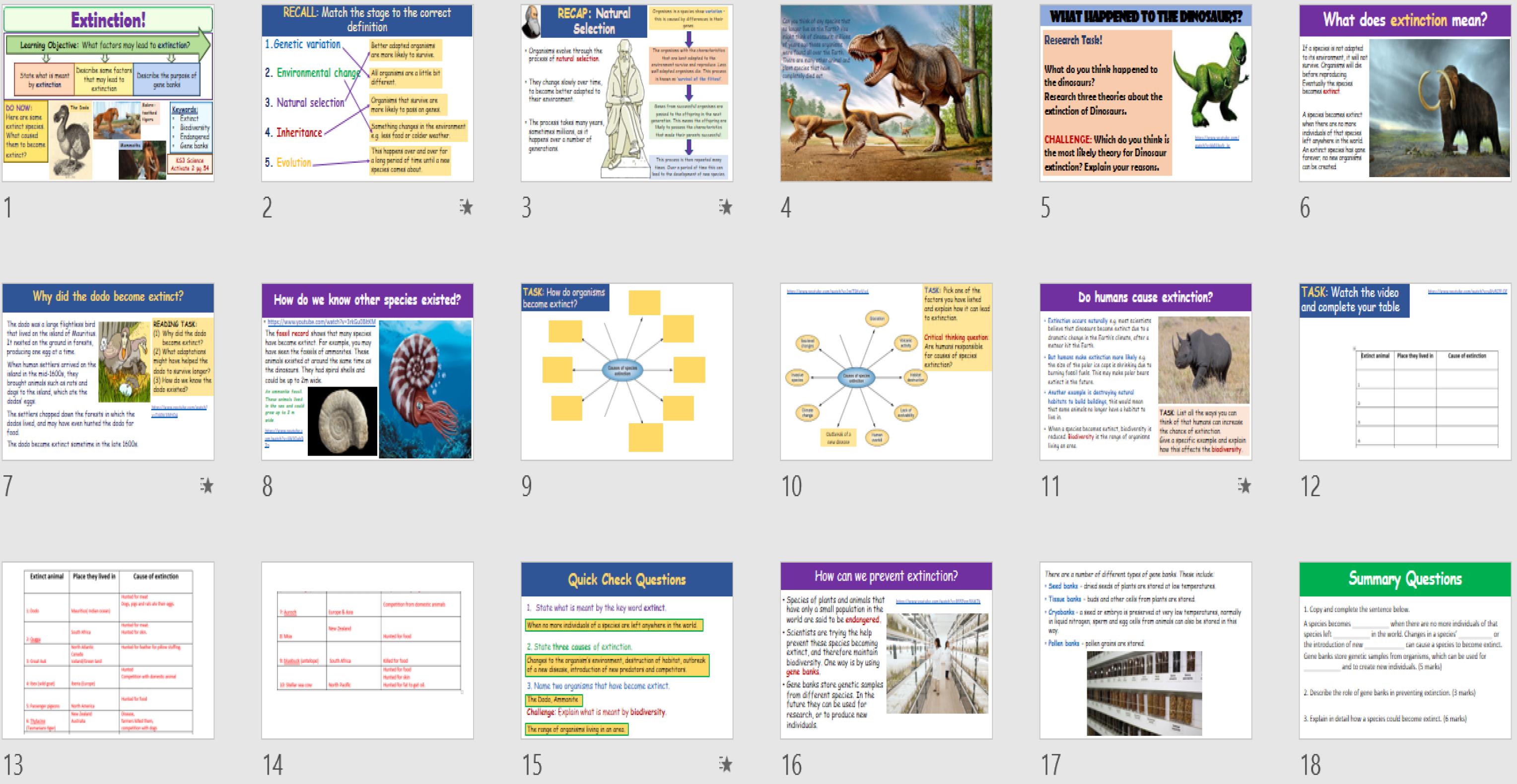 Extinction KS3 Activate Science | Teaching Resources