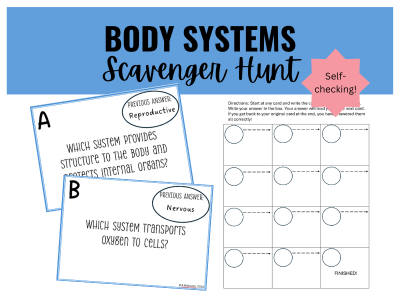 Body Systems Scavenger Hunt | Teaching Resources