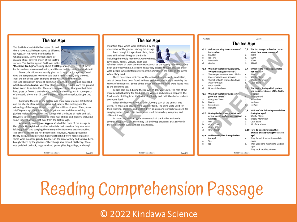 The Ice Age Reading Comprehension Passage and Questions - PDF ...