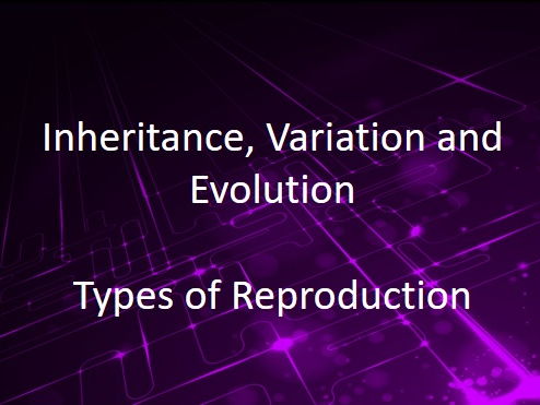 New AQA (9-1) GCSE Biology IVE: Types of Reproduction (4.6.1.1 ...