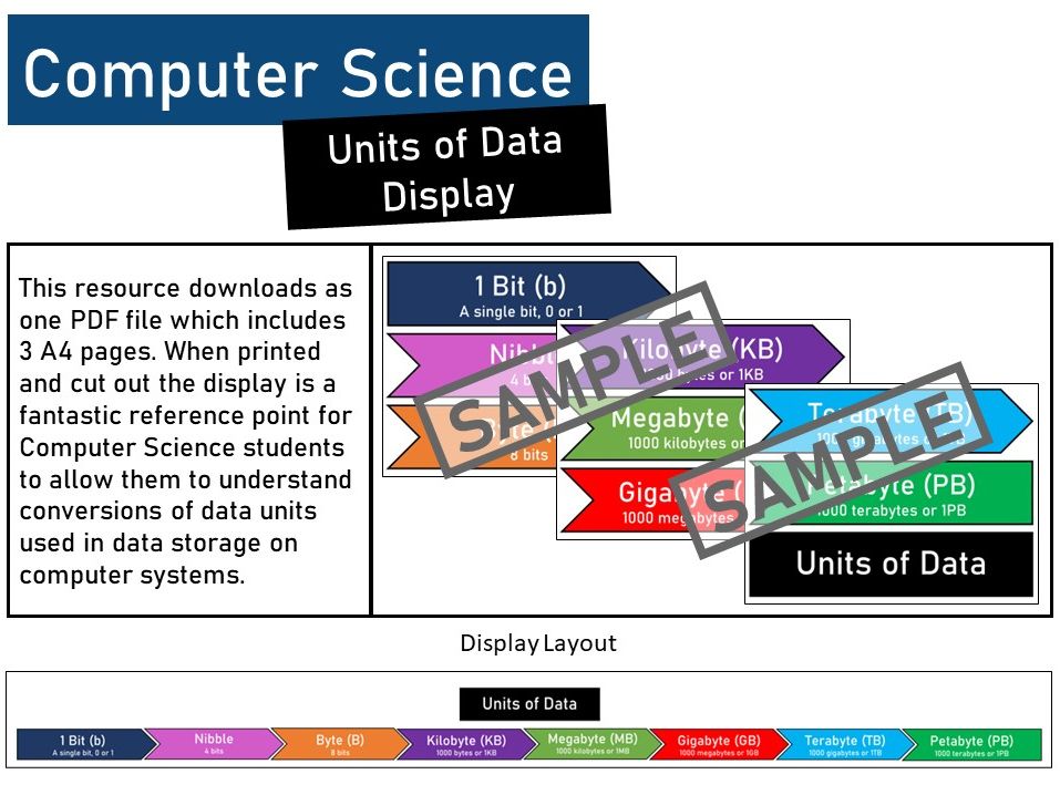Computer Science Units of Data Display | Teaching Resources