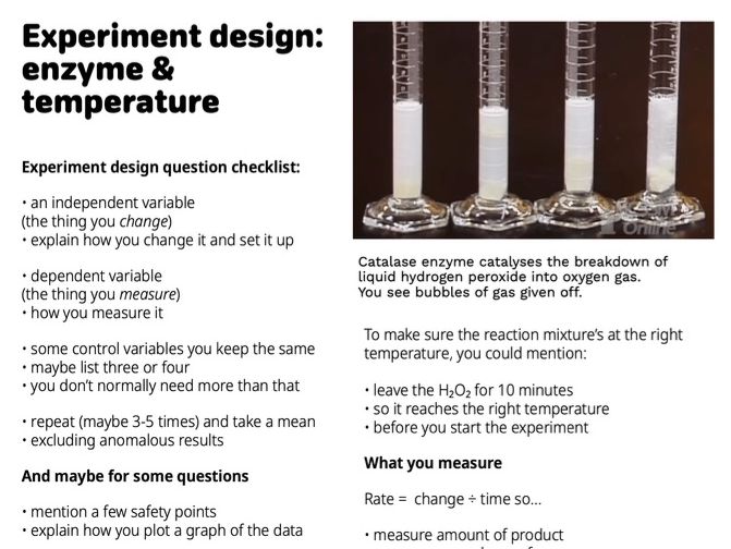 Experiment design case study: hydrogen peroxide, catalase and ...