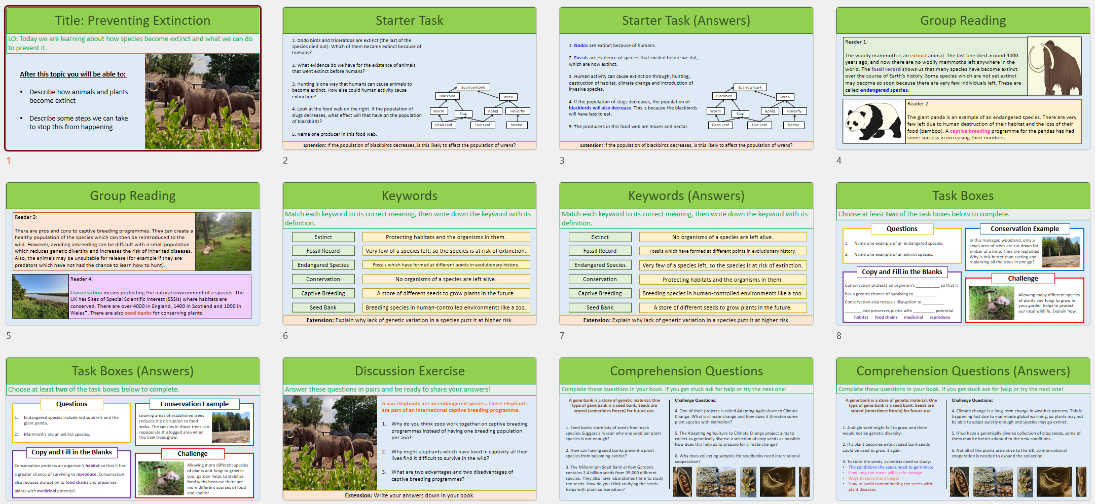 Preventing Extinction ~ KS3 | Teaching Resources
