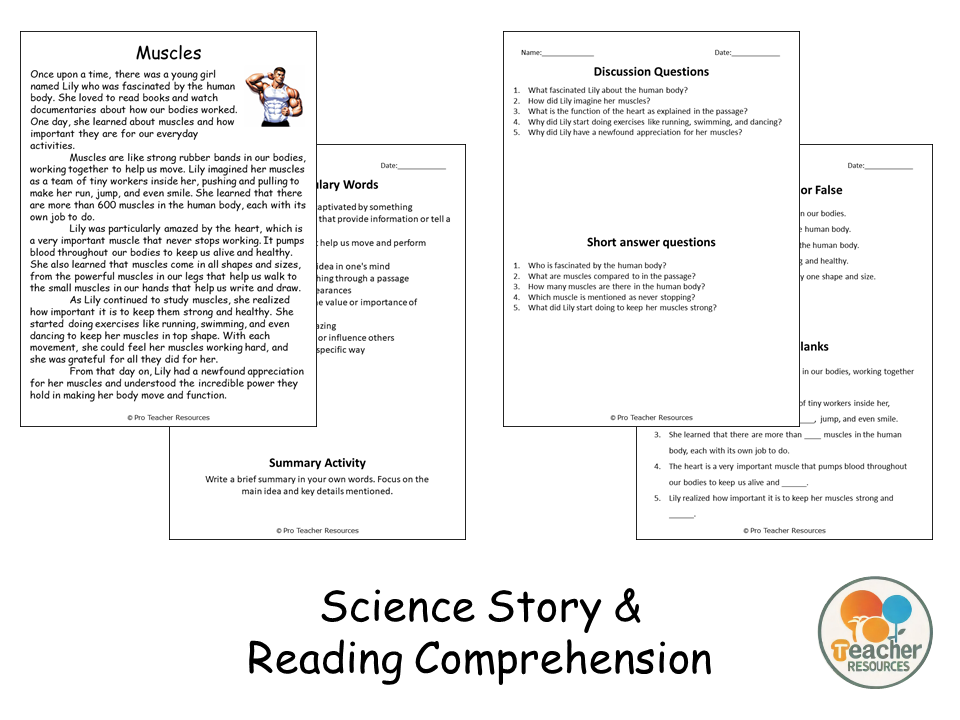 Muscles Reading Science Story Comprehension Questions Worksheet ...