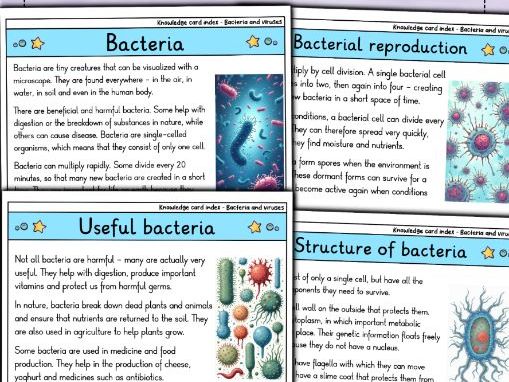 Bacteria and Viruses - Flashcards | Biology | Structure, Reproduction ...