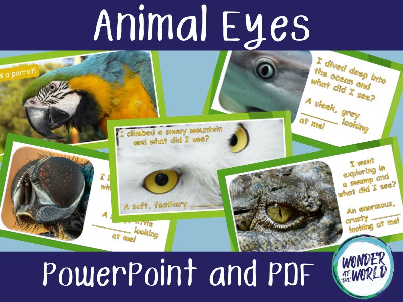 Animal Eyes PowerPoint Activity KS1 | Teaching Resources