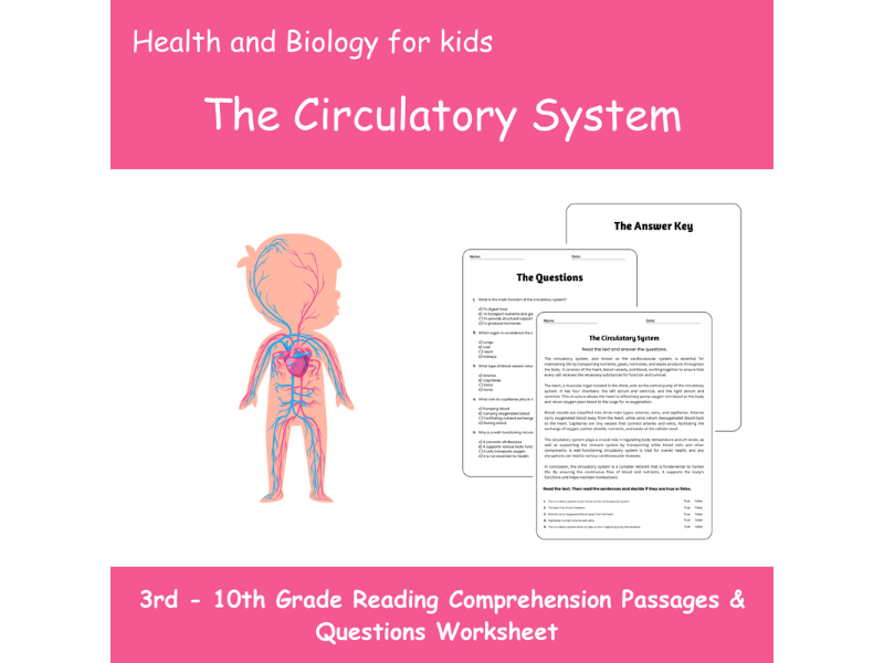 The Circulatory System: A Vital Network of Life: Reading Comprehension ...