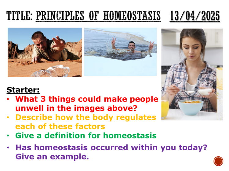 Principles of homeostasis - complete lesson (GCSE 1-9) | Teaching Resources