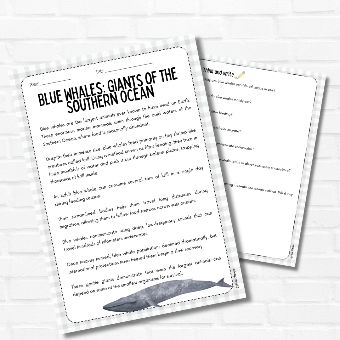Differentiated Animals of Antarctica Reading Comprehension | Nonfiction ...
