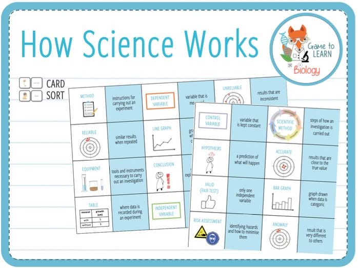 How Science Works - Card sort / Pair game (KS3/4) | Teaching Resources
