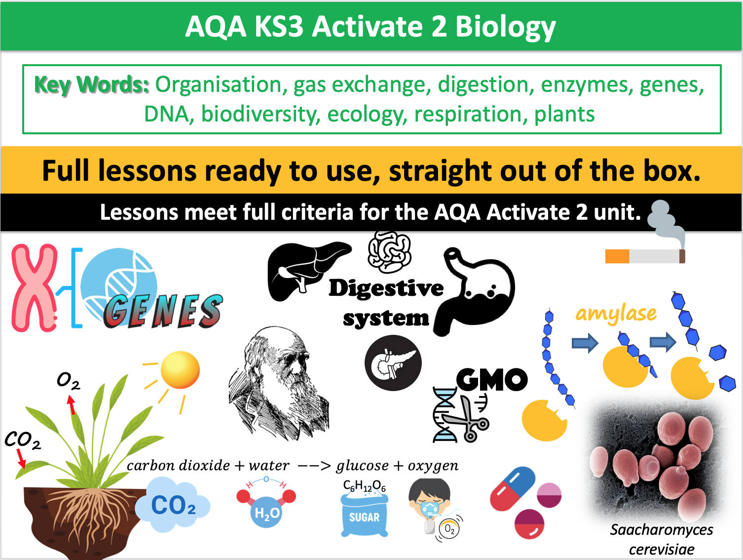 AQA KS3 Activate 2 Biology | Teaching Resources