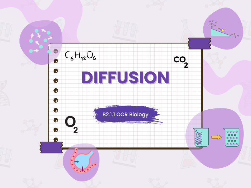 Diffusion - OCR GCSE Biology Gateway A - B2.1.1 | Teaching Resources