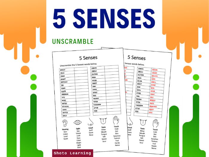 FIVE 5 SENSES SCIENCE ACTIVITY SCRAMBLE WORDS WORD UNSCRAMBLE 
