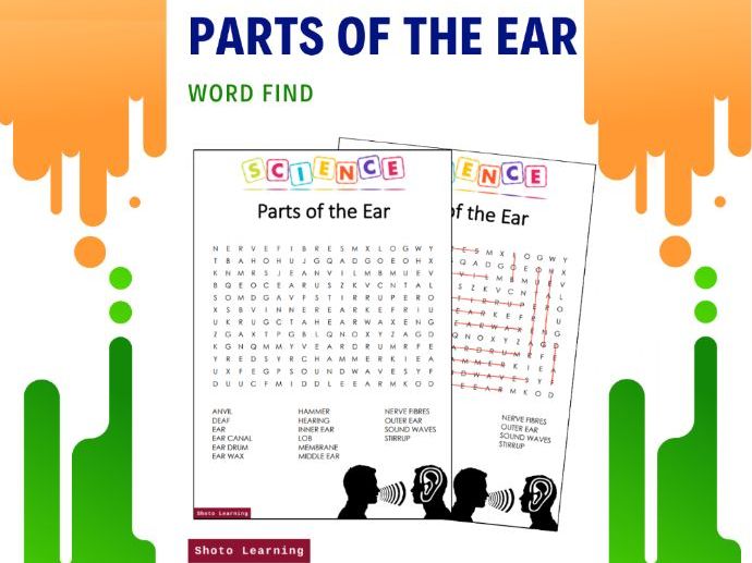 PARTS OF THE EAR SCIENCE ACTIVITY WORD FIND SEARCH FINDER PUZZLE ...