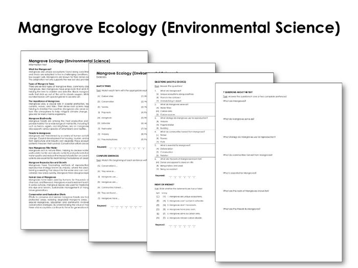 Mangrove Ecology (Environmental Science) | Teaching Resources