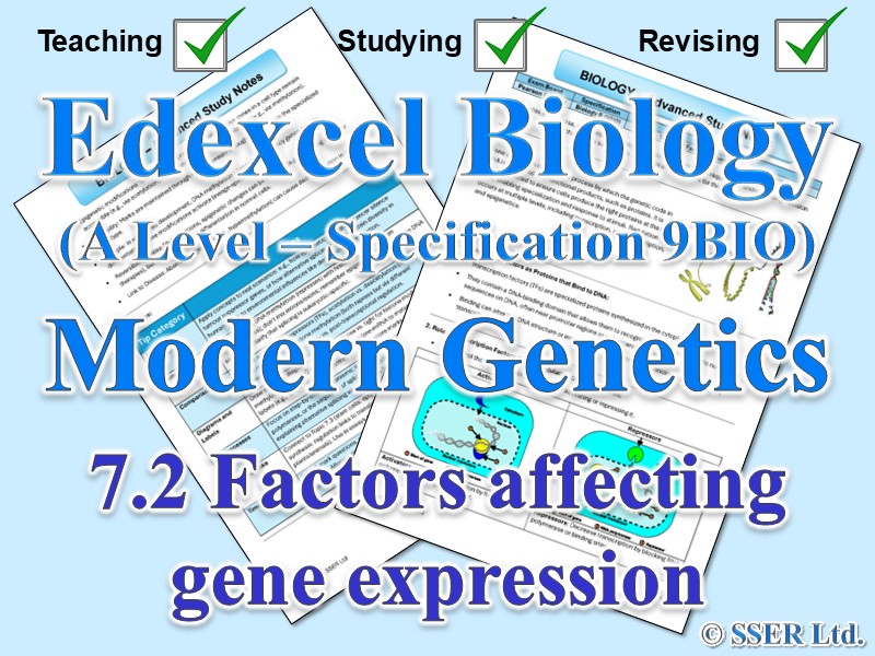 BIOA_EDX Topic Notes: 7.2 Factors affecting gene expression | Teaching ...