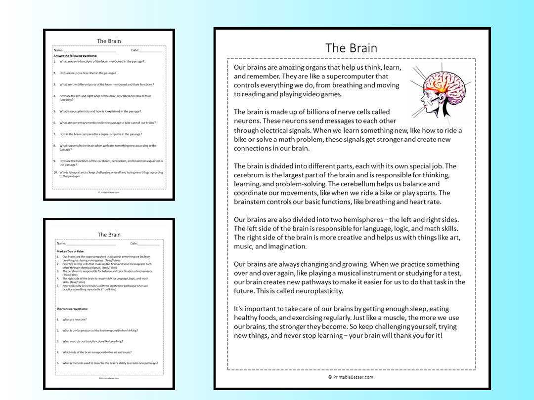 The Brain Reading Comprehension Passage Printable Worksheet | Teaching ...