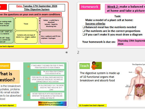 Digestion KS3 | Teaching Resources