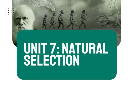 AP Biology Unit 7: Natural Selection Complete Unit | Teaching Resources