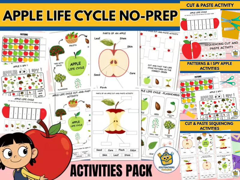 Apple Life Cycle NO-PREP Pack | Parts of an Apple, Flashcards ...