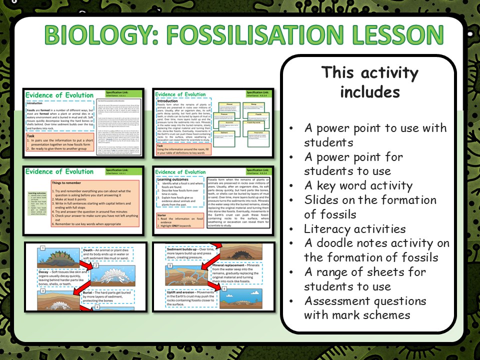 KS4 GCSE Biology / Science Fossil Lesson - Steps to Fossilization ...