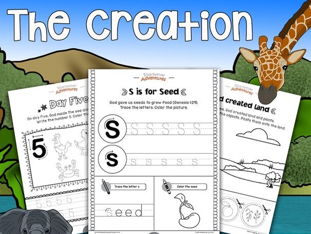 FREEBIE: Creation story Activity Pack [Beginners] | Teaching Resources