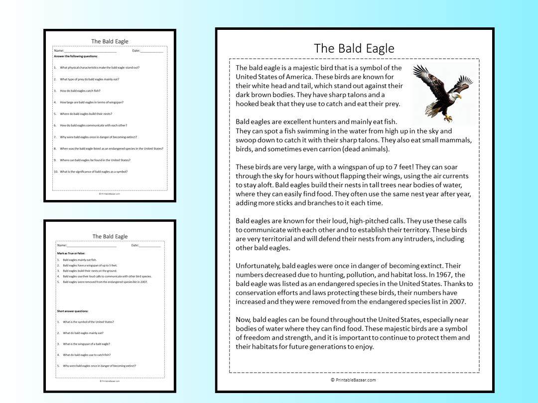The Bald Eagle Reading Comprehension Passage Printable Worksheet | Teaching Resources
