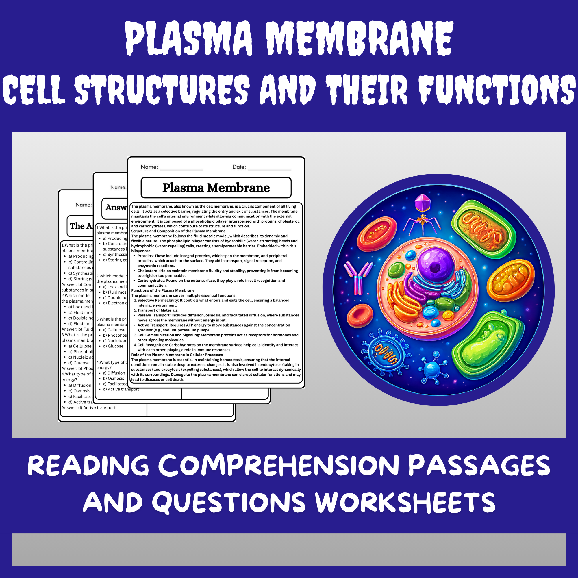 Plasma Membrane - Cell Structures and Their Functions Reading ...