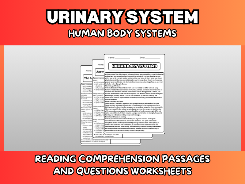 Urinary System Reading Comprehension Passages and Questions Worksheets ...