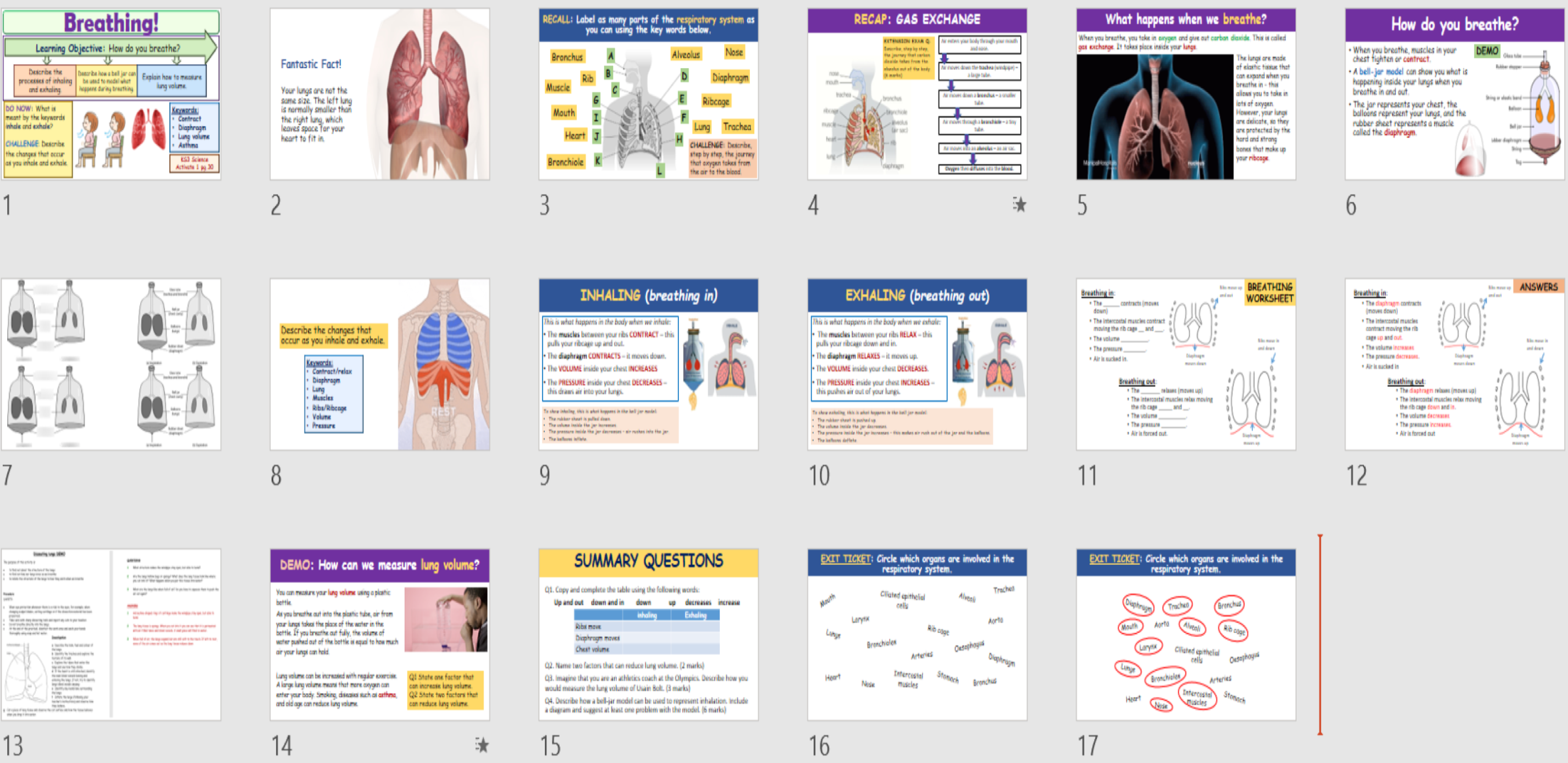Breathing KS3 Activate Science | Teaching Resources
