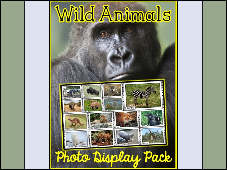 Early years understanding the world teaching resources: Animals | TES