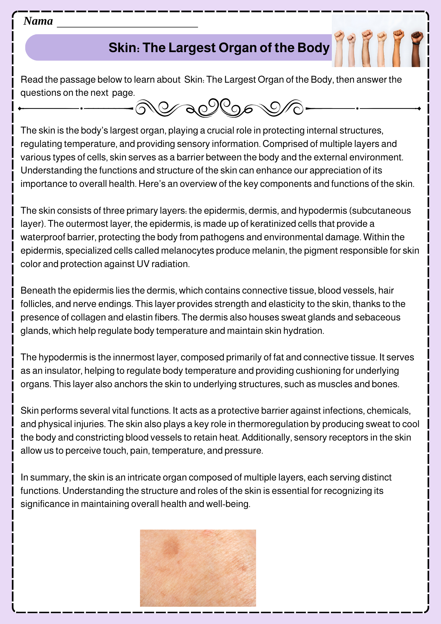 Skin: The Largest Organ of the Body Reading Comprehension Passages ...